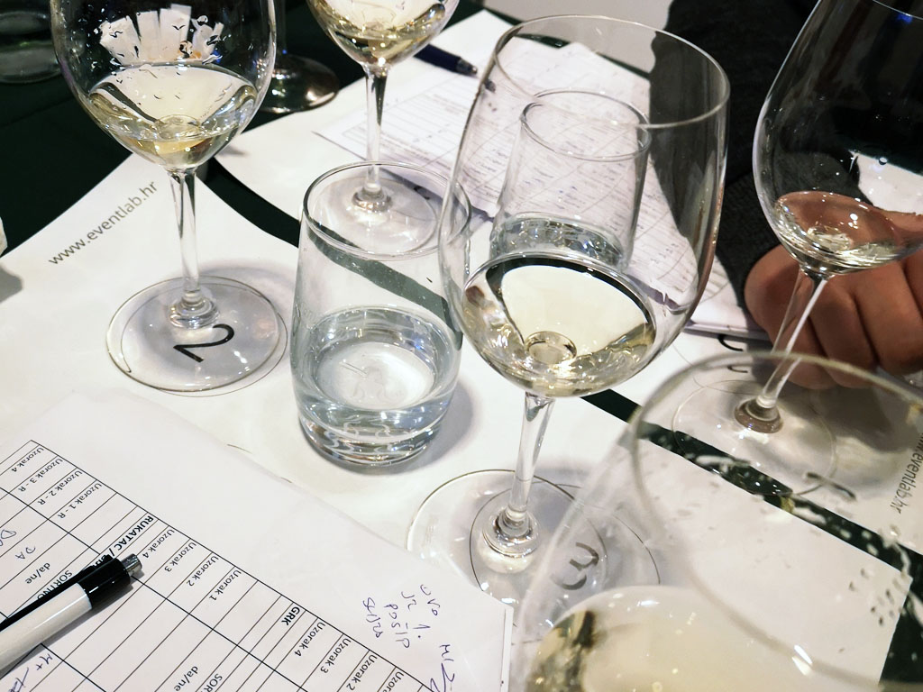 BLOG: Why Should You Learn about Wine? - Wine Lover's Croatia