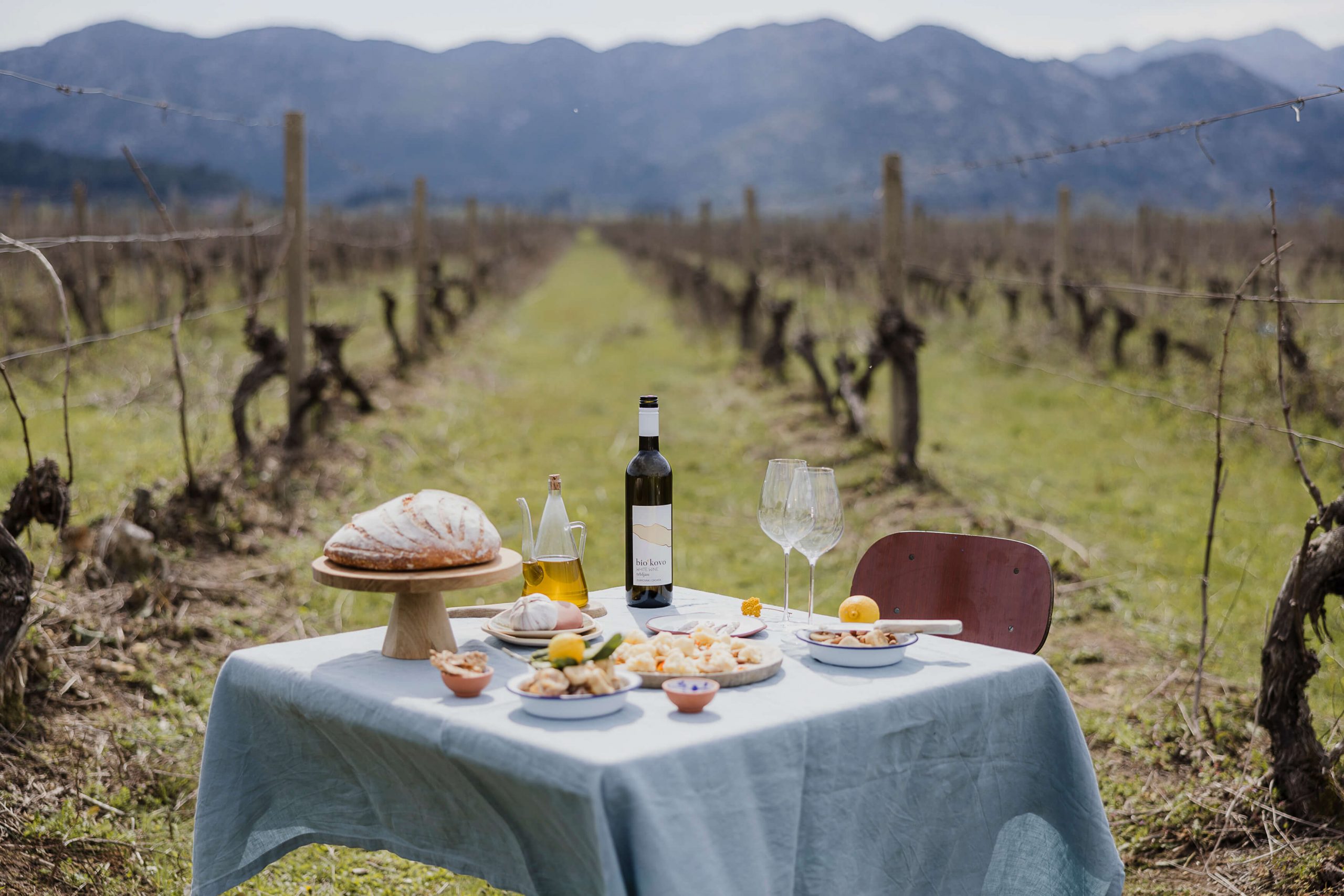 Vina Delmati Winery – The Newest Star of Southern Croatia - Wine Lover ...